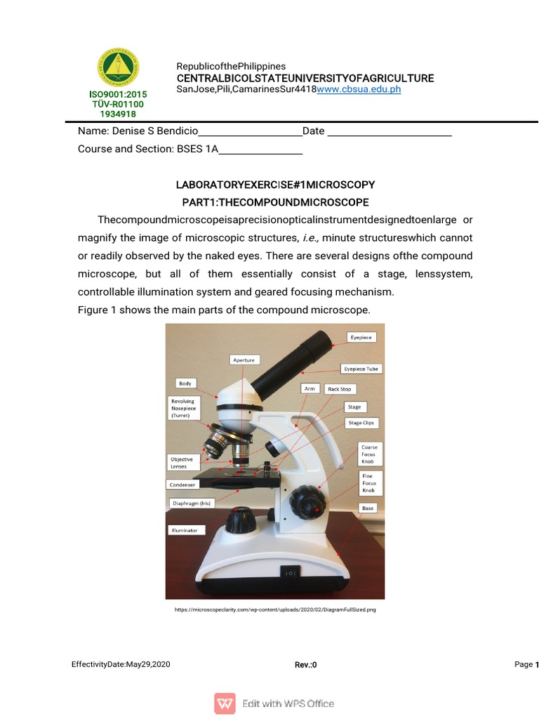 Zoo-Laboratory-Exercise-1-Microscope. - DENISE Bendicio-Bses 1A | PDF | Electromagnetism ...