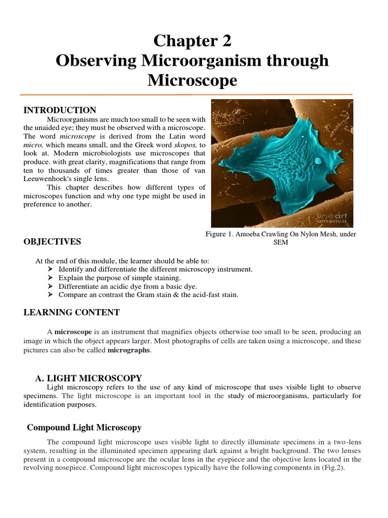 Chapter 2 Observing Microorganism Through Microscope | PDF | Microscopy ...