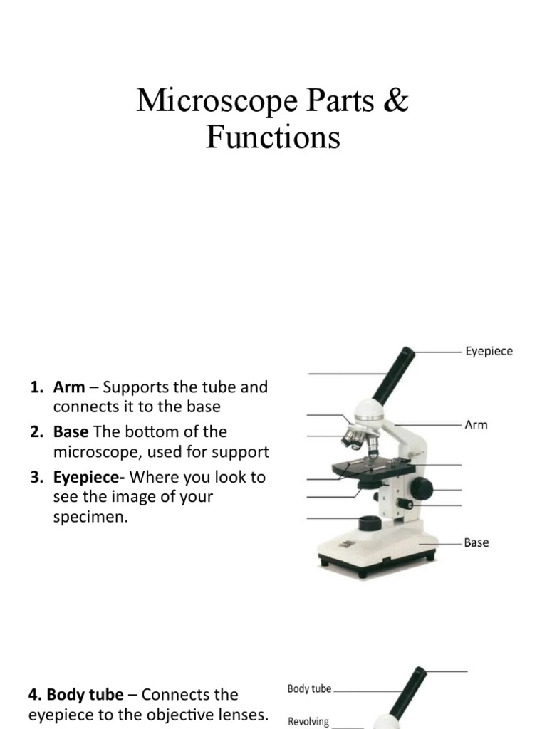 Microscope Parts Functions | PDF