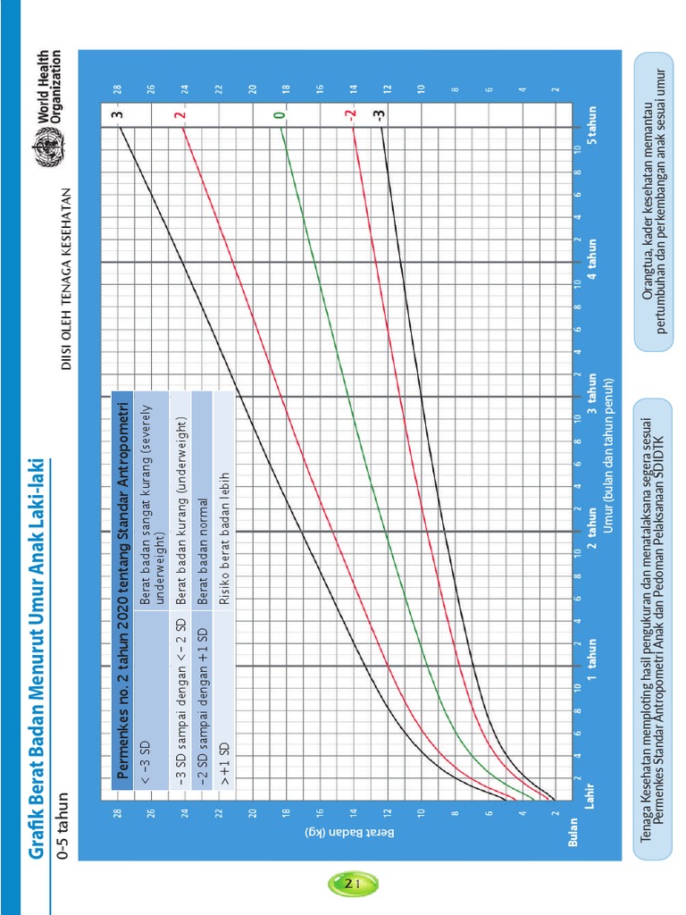 Standar Pertumbuhan Berat Badan Anak Laki-Laki Menurukan Umur | PDF