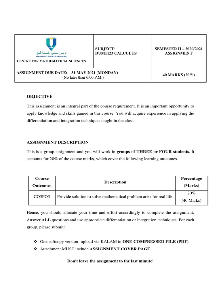Calculus Assignment Example Questions | PDF | Cognition | Learning