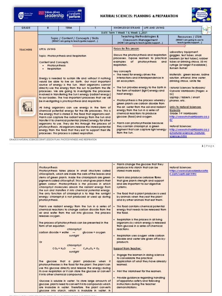 gr8 South Africa | PDF | Photosynthesis | Cellular Respiration