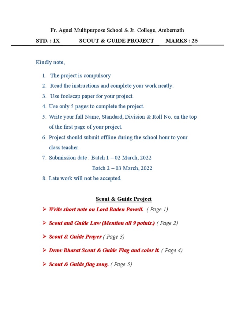 Std. IX - Scout & Guide Project | PDF