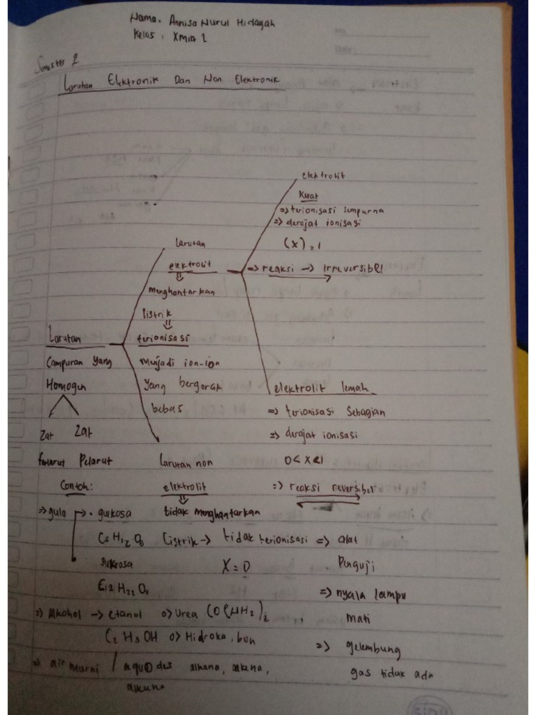 Annisa Nurul Hidayah | PDF