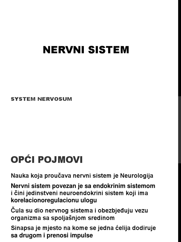 Nervni Sistem - PPTX 1 | PDF