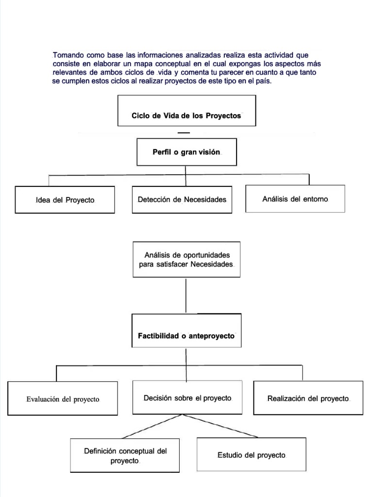 PDF Actividad 3 Mapa Conceptual Sobre El Ciclo de Vida de Los Proyectos - Compress | PDF