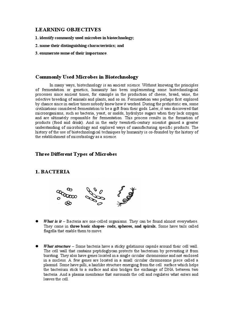 Key Microbes in Biotechnology Explained | PDF