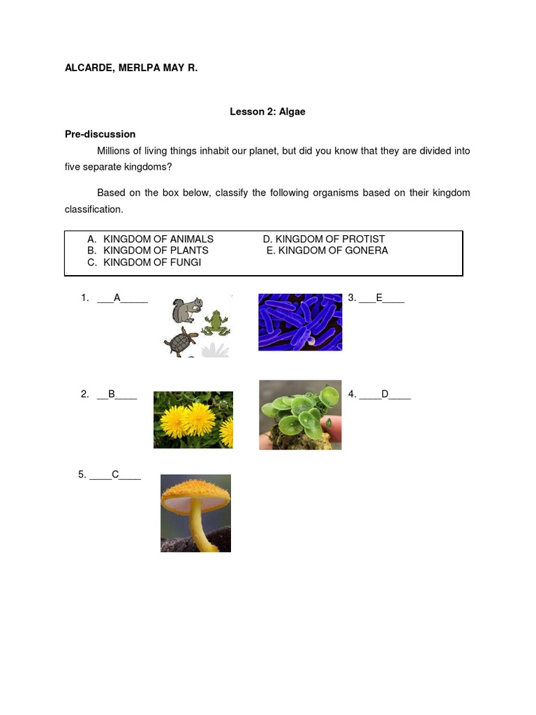 Algae Classification and Importance | PDF | Algae | Sexual Reproduction