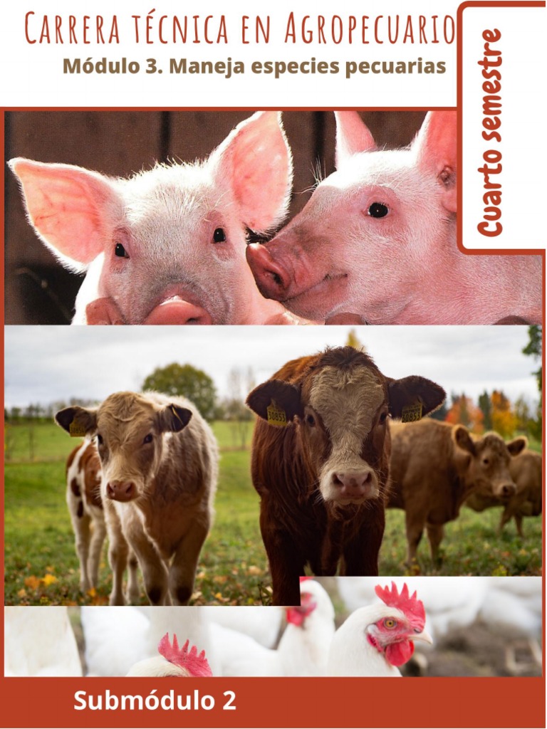 M3-SM2-Maneja especies poligástricas | PDF | Dominancia (Genética) | Alelo