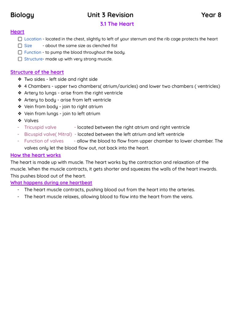 Biology Unit 3 Revision Year 8 | PDF | Heart | Blood