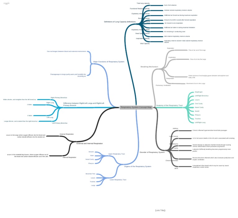 Respiratory System Concept Map | Download Free PDF | Respiratory Tract ...