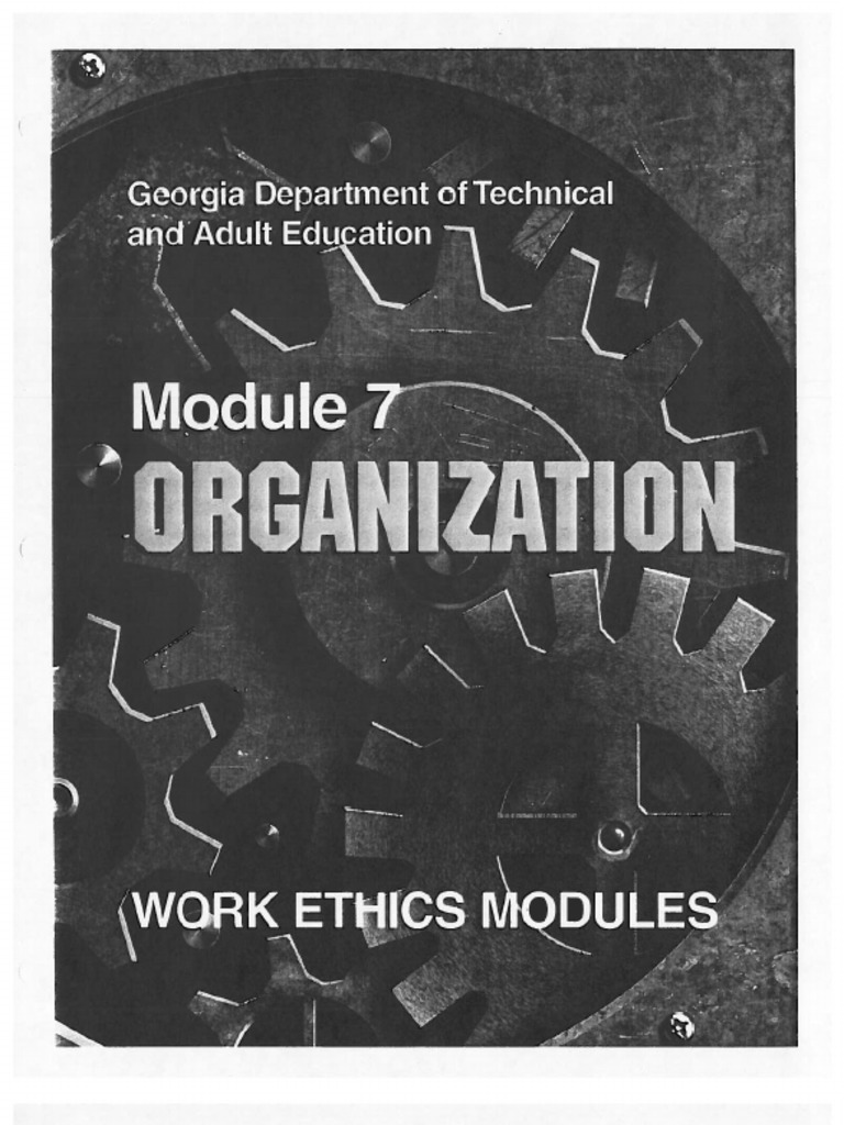 Work Ethic Module 7 Organization | PDF