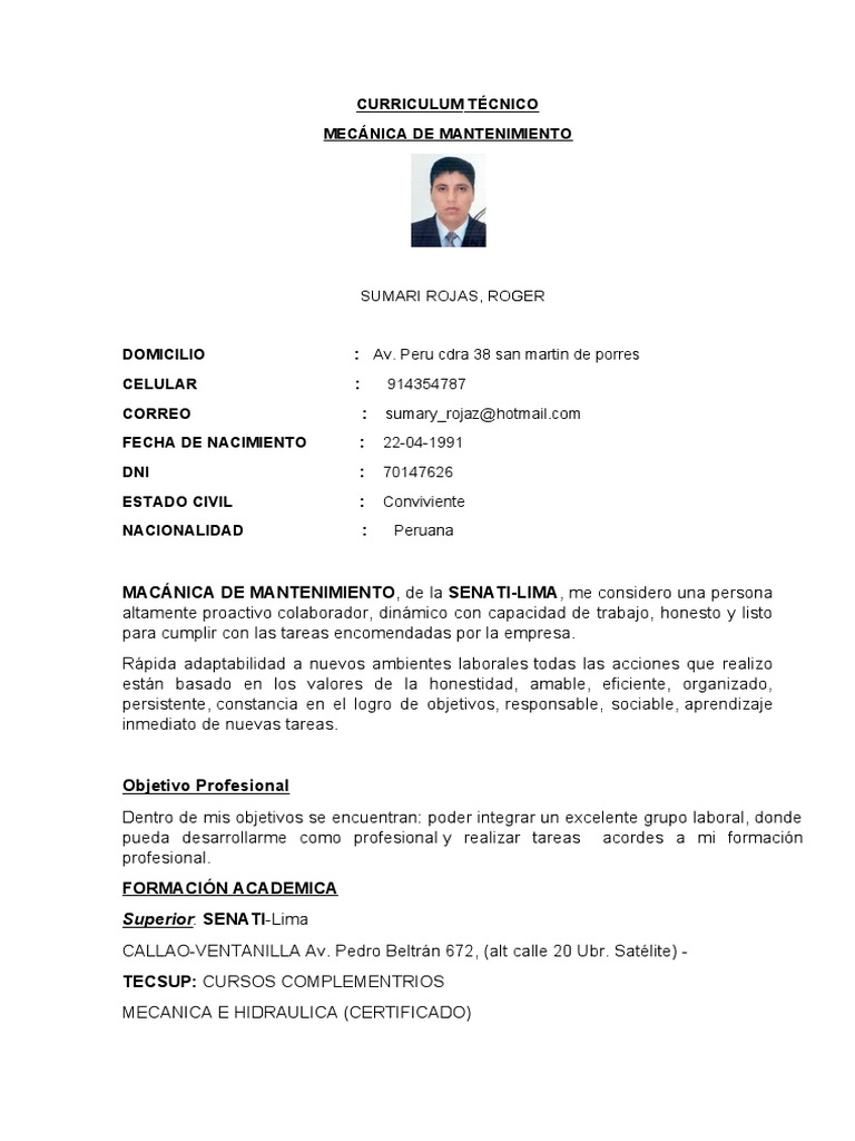 CV Roger Sumari Rojas | PDF
