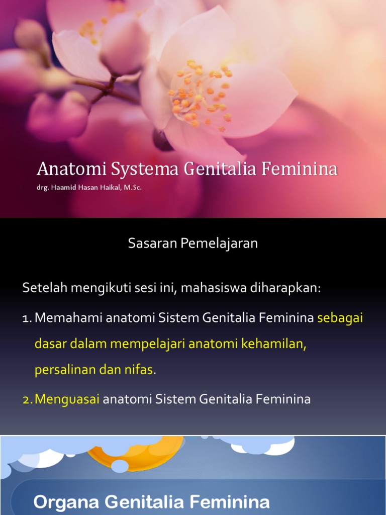 Anatomi Systema Genitalia Feminina 2022 | PDF | Kesehatan Holistik