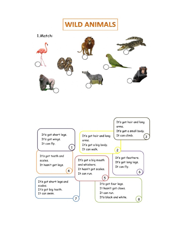 7.Unit4.Wild Animals | PDF