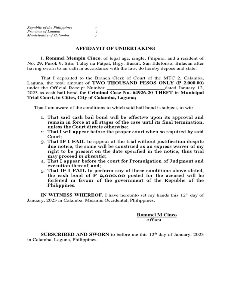 Affidavit of Undertaking Bail | PDF
