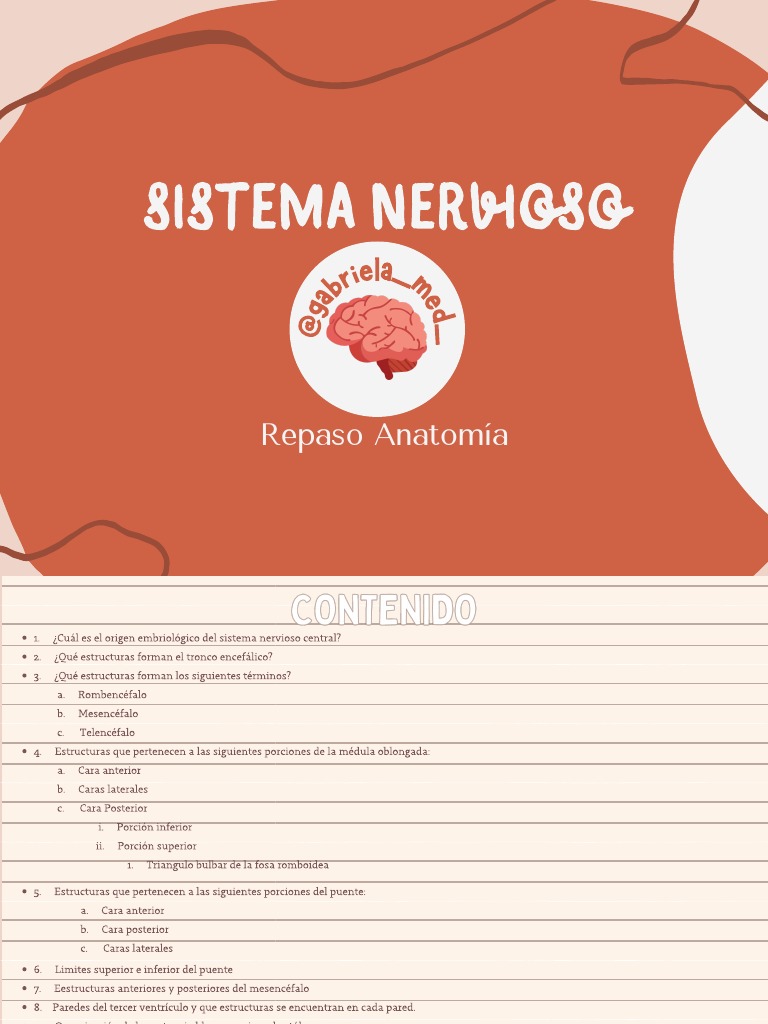 Repaso General de Anatomía I Por @gabriela - Med | PDF | Nariz humana | Anatomía