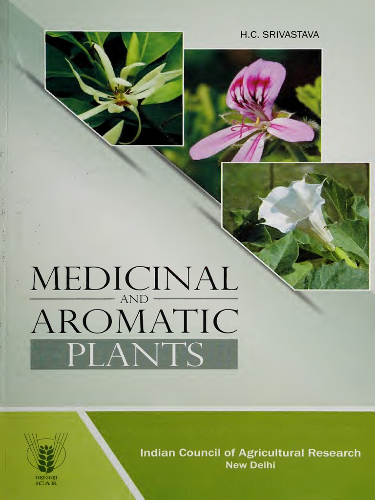 Medicinal and Aromatic Plants of India | PDF | Sowing | Seed