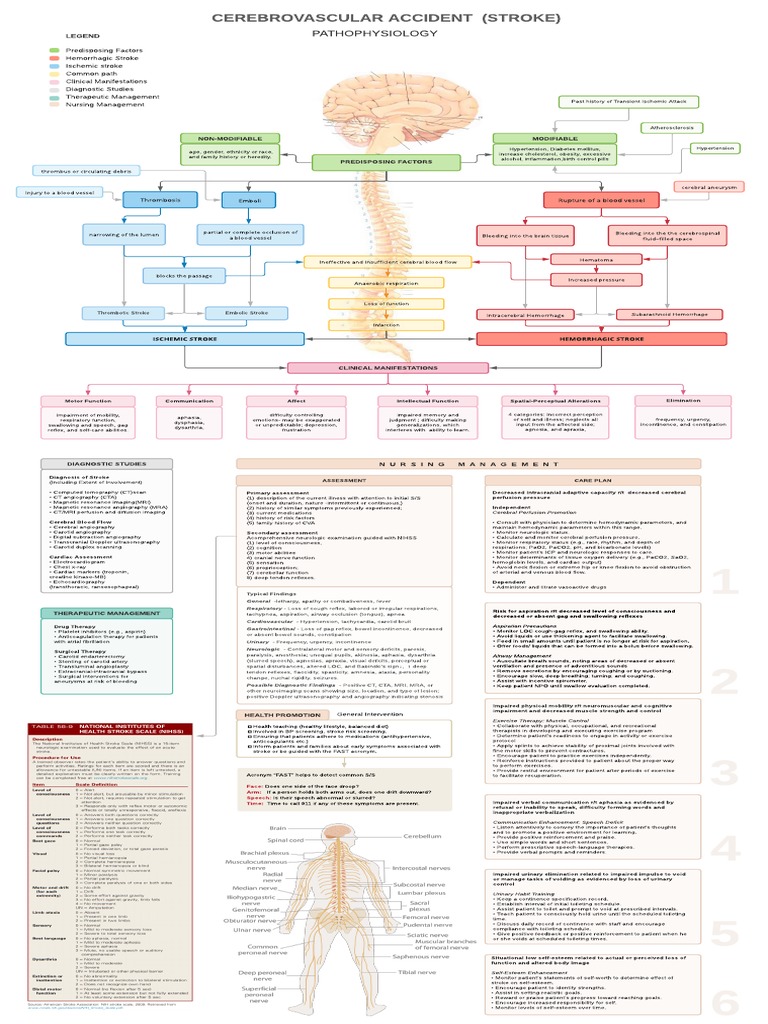 Cva Concept Map | PDF