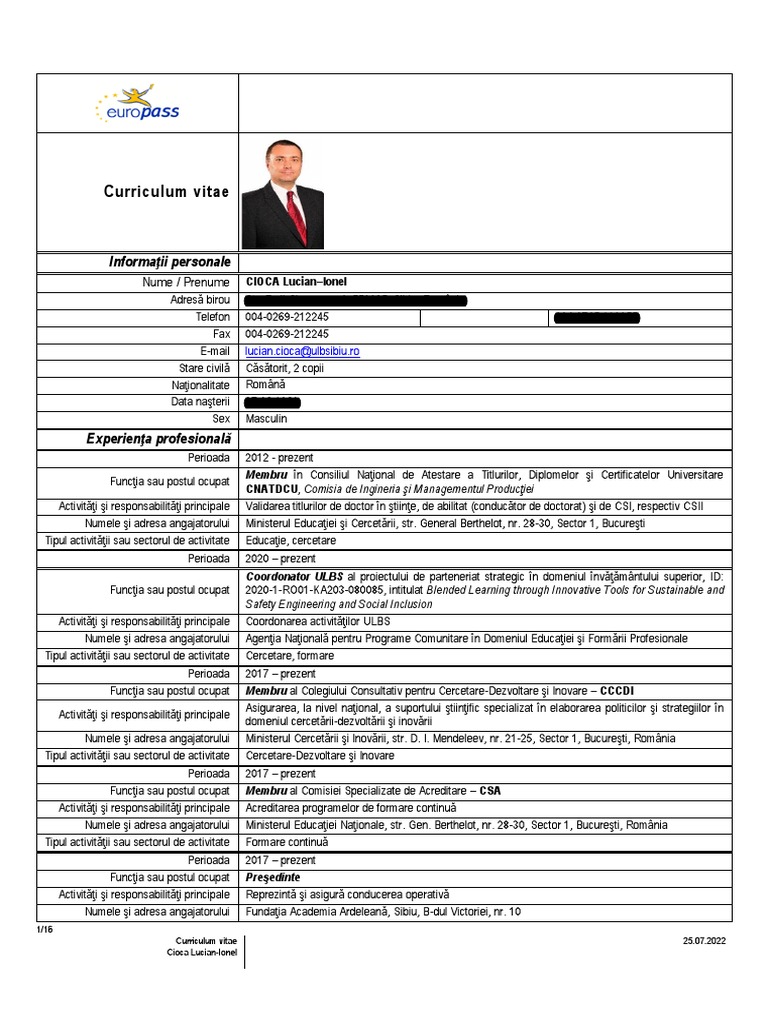 Lucian-Ionel Cioca: CV Overview | PDF