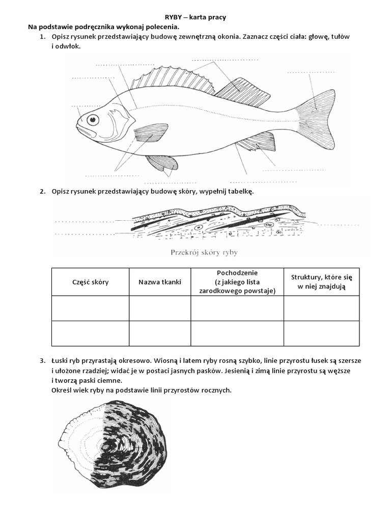 01 Karta Pracy Do Prezentacji RYBY | PDF
