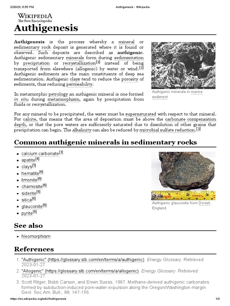 Authigenesis | PDF | Sedimentary Rock | Geology
