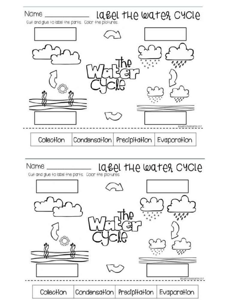 Water Cycle Worksheet | PDF