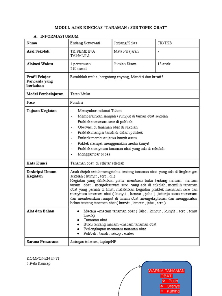 Modul Ajar Ringkas Obat | PDF