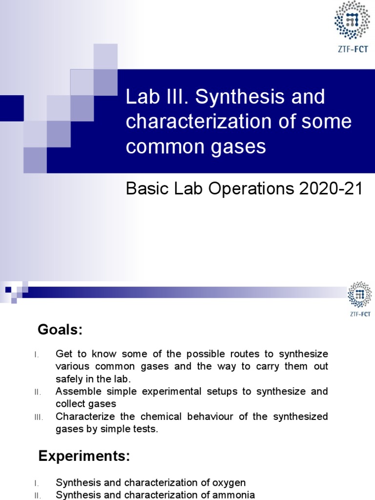Lab3 Synthesis Gases | PDF