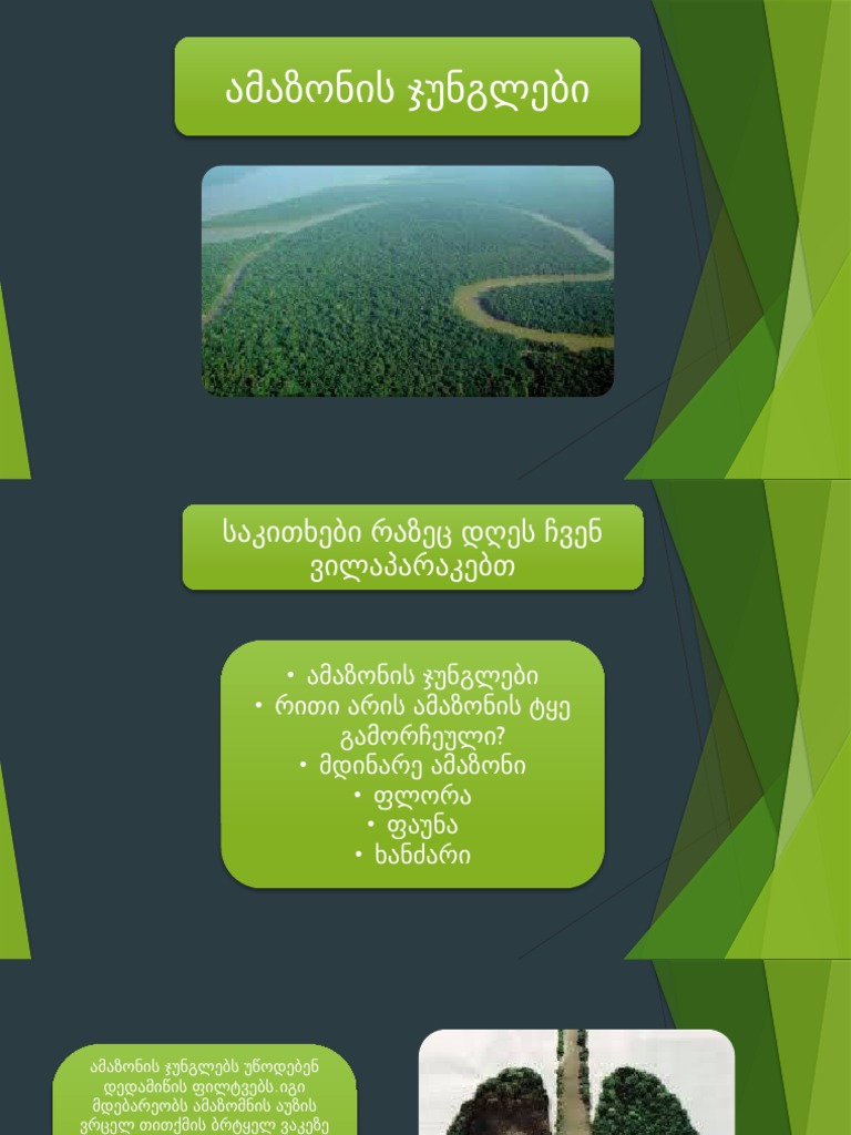 ამაზონი | PDF