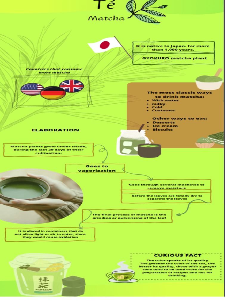 Infografia Matcha I | PDF