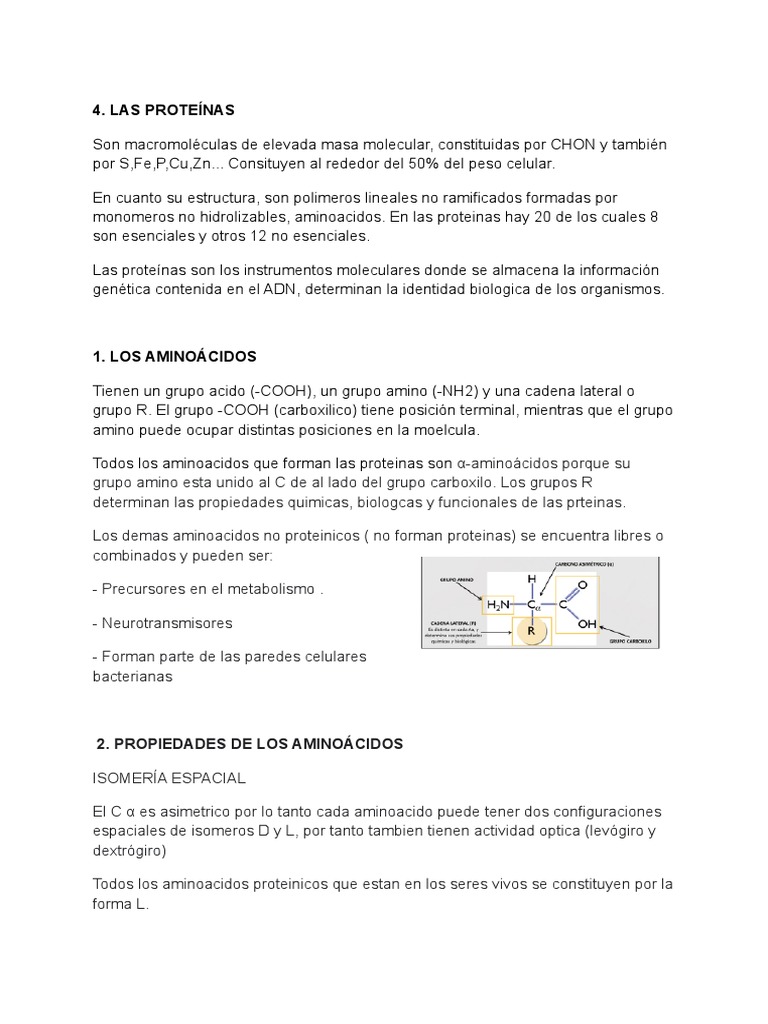 Resumen Bio Proteínas | PDF | Estructura proteica | Proteínas