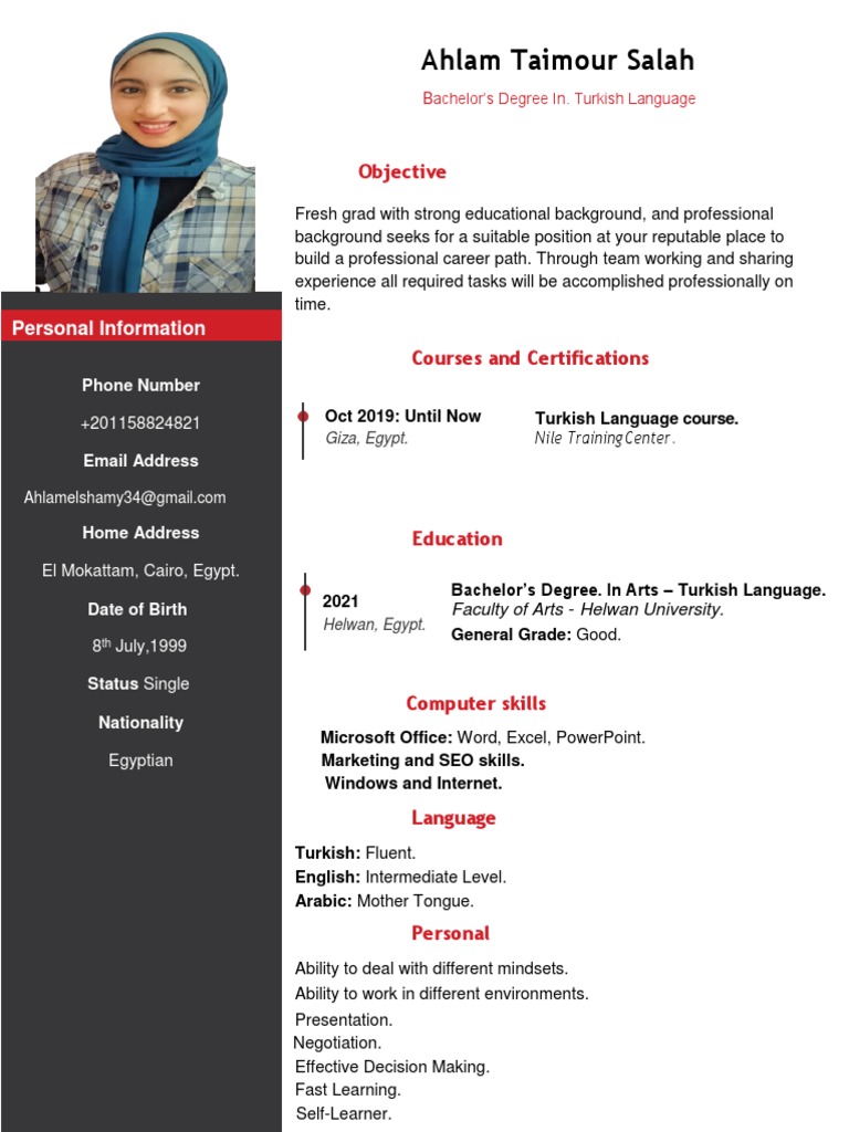 Ahlam Taimour - CV | Download Free PDF | Egypt | Software