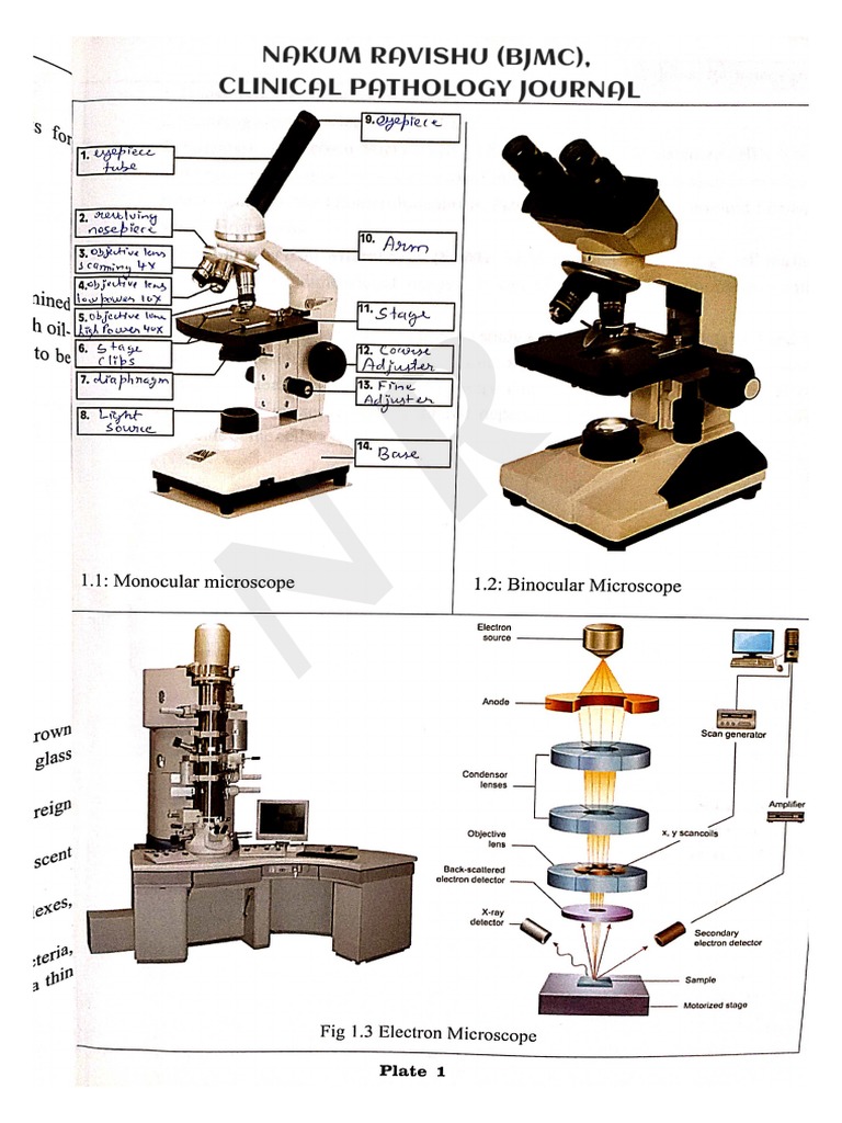 Clinical Pathology Journal | PDF | Anemia | Microscope
