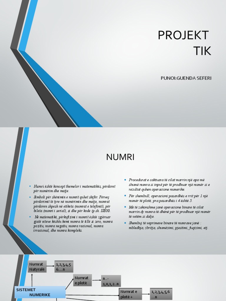 Projekt TIK: Punoi:Guenda Seferi | PDF