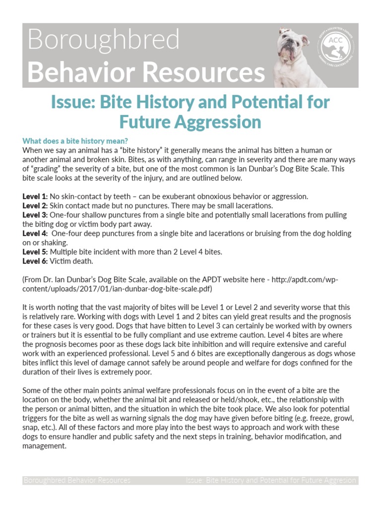 Bite History and Potential For Future Aggresion | PDF | Dogs | Dog Training