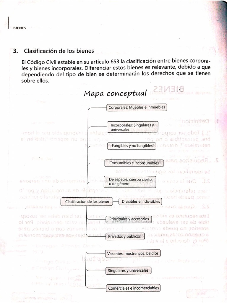 Texto Clasificación de Los Bienes | PDF