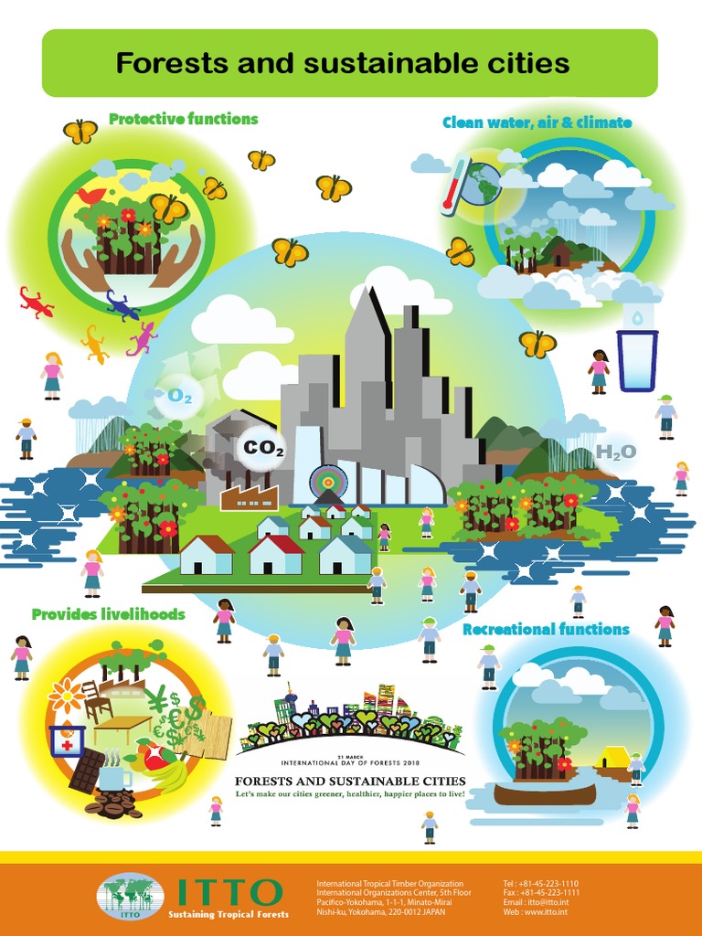 Forests and sustainable cities Poster IDF Infographic_Poster | PDF Forests and sustainable cities Poster IDF Infographic_Poster | PDF