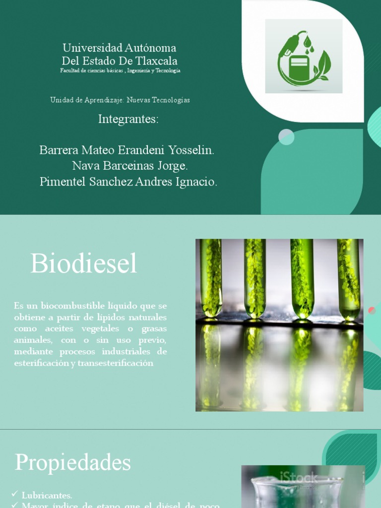 Biodisel | PDF