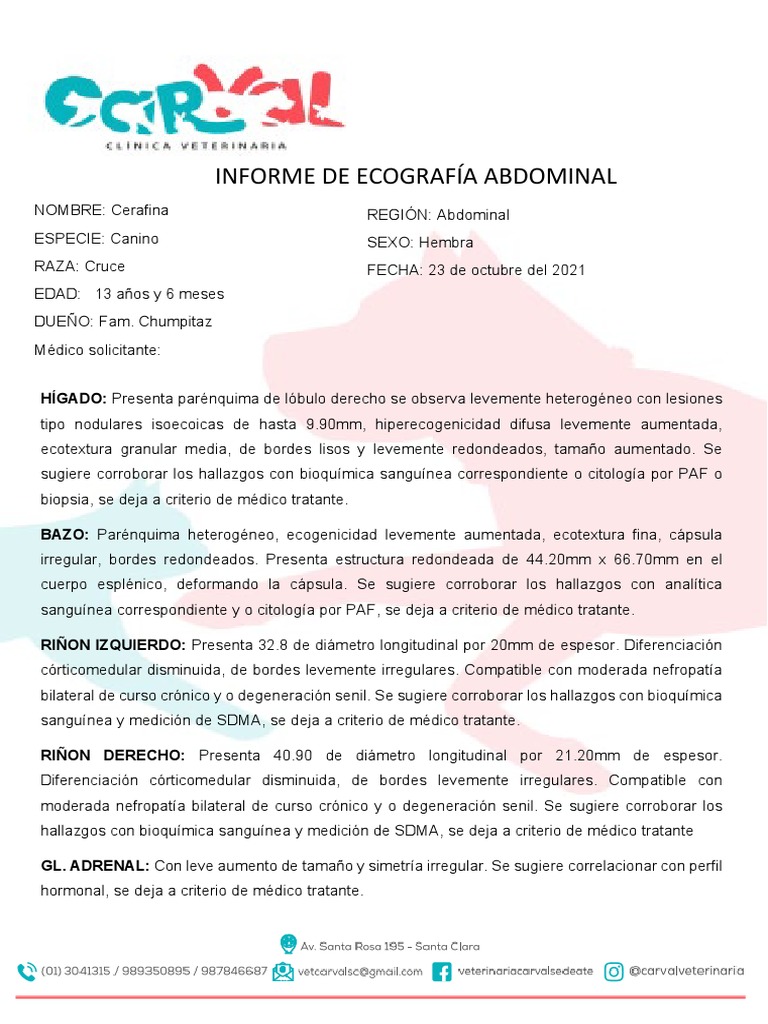 Informe de Ecografia Abdominal Cerafina | PDF | Ultrasonido médico | Especialidades Medicas