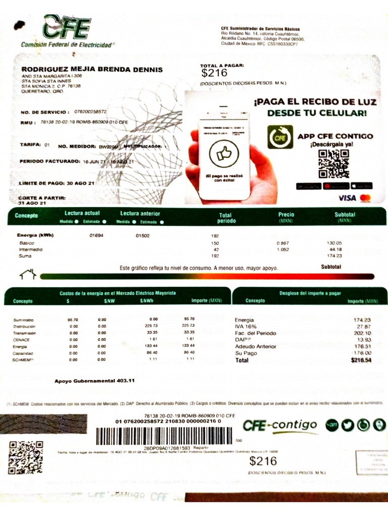 Documentos CFE | PDF