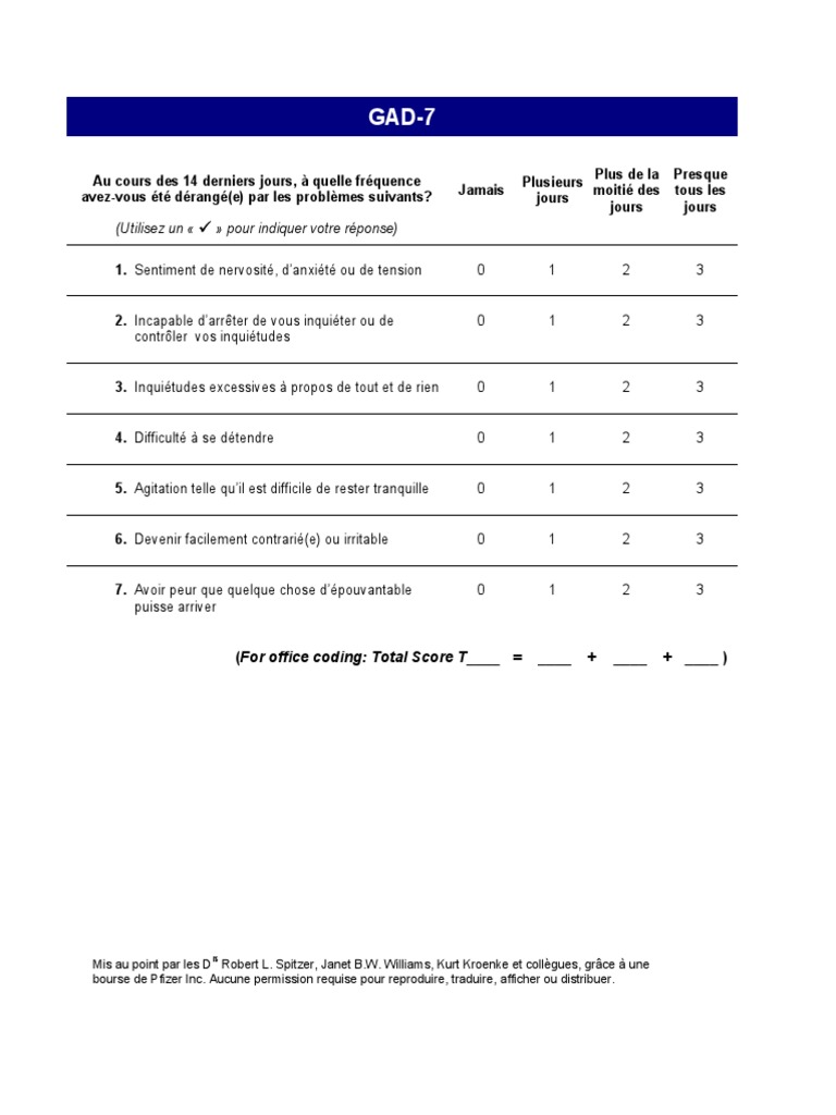 GAD-7 Questionnare D'anxiété | PDF