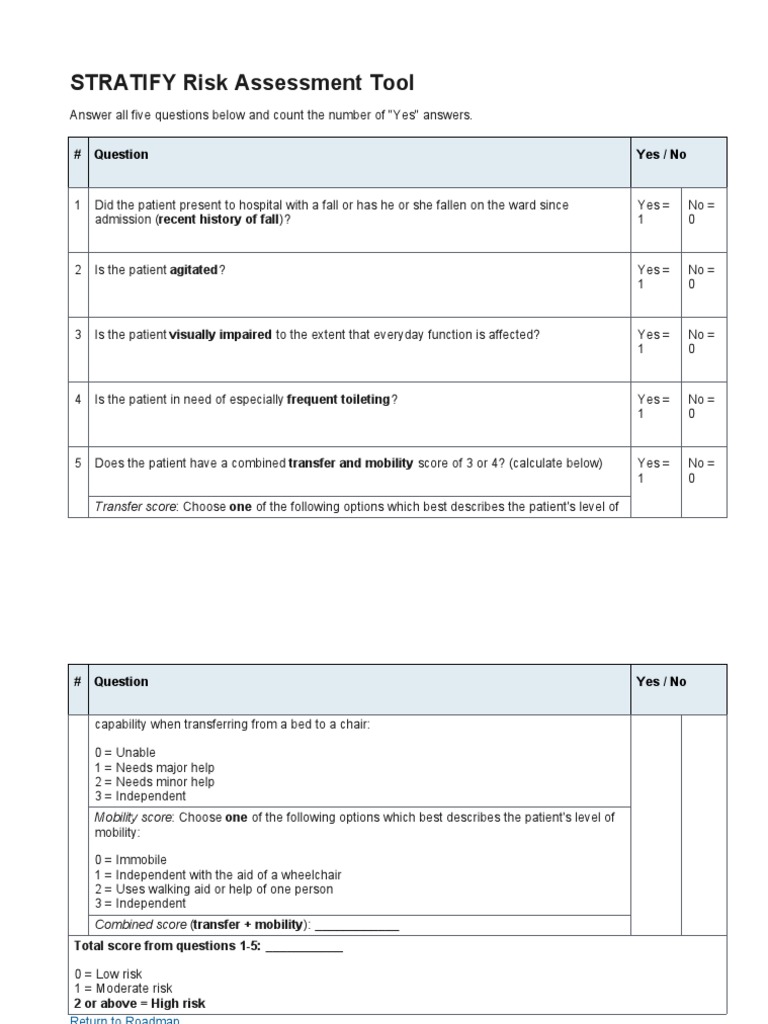 STRATIFY Risk Assessment Tool | PDF
