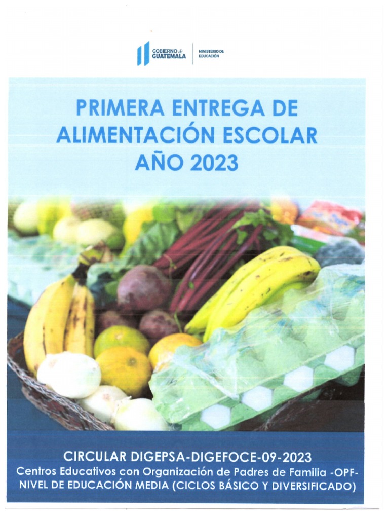 Digepsa Digefoce 09 2023 | PDF