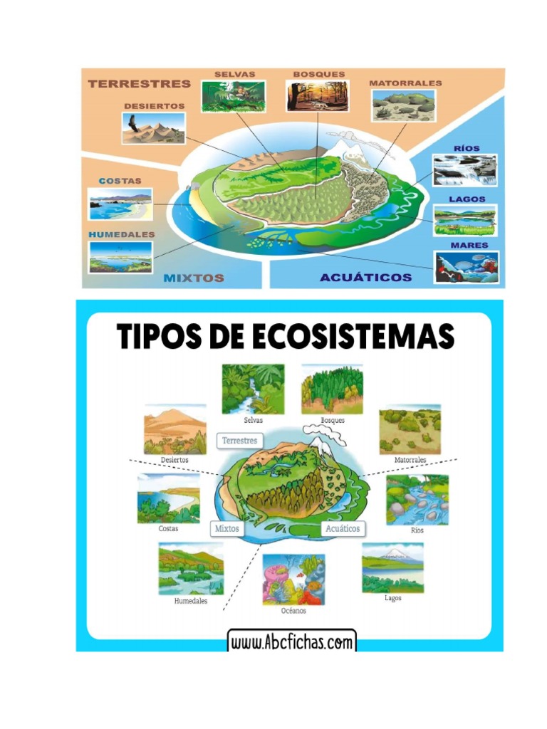 Ecosistemas | PDF