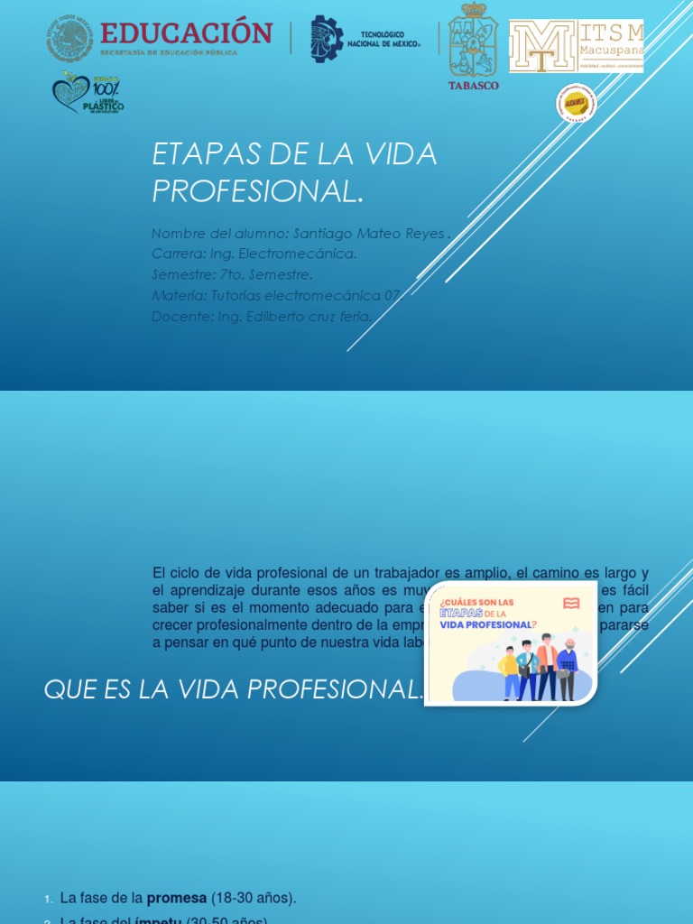 Etapas de La Vida Profesional | PDF | Cognición | Aprendizaje