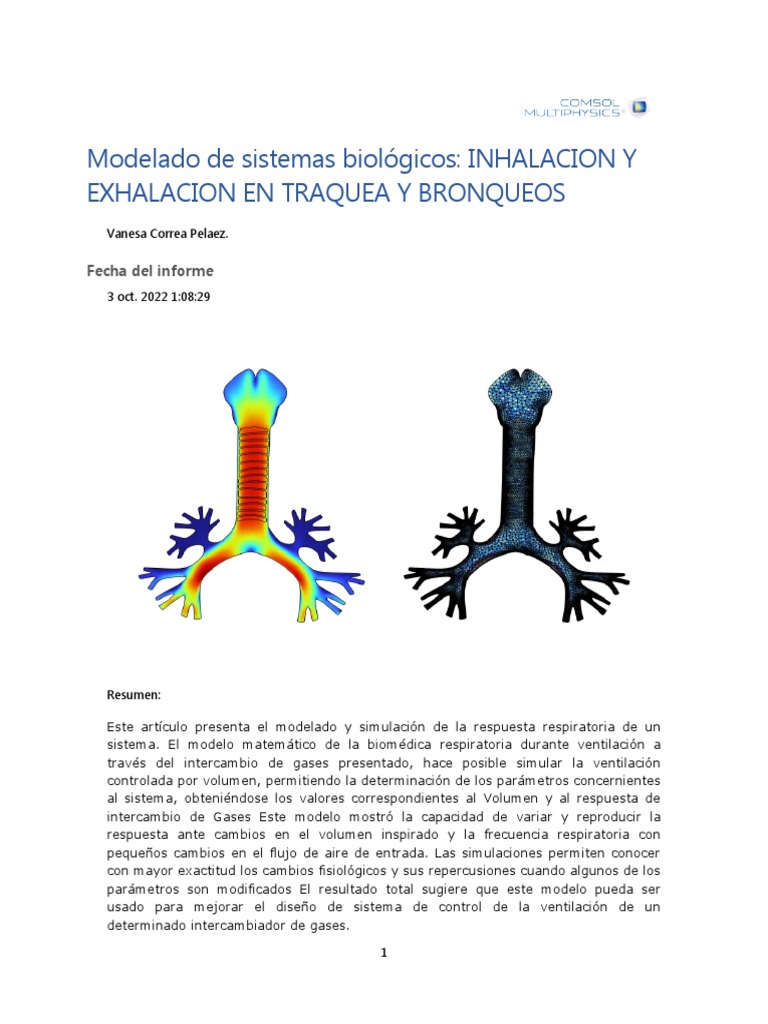Informe Exhalacion e Inhalacion | PDF | Velocidad | Simulación
