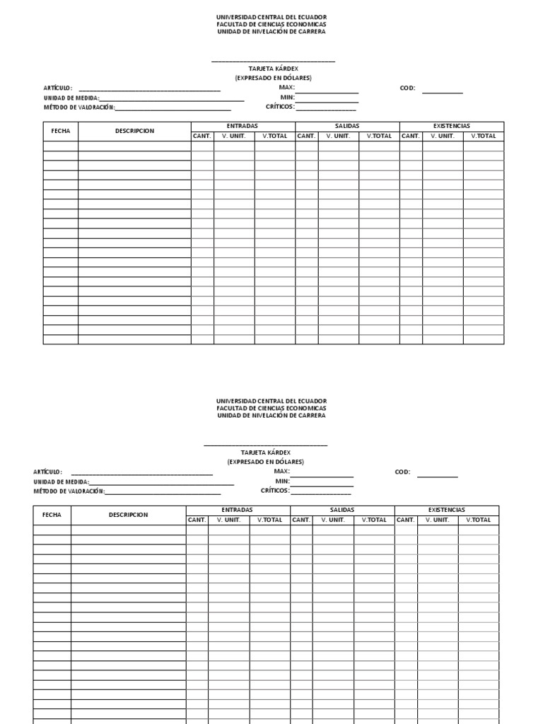 Formato Kardex | PDF