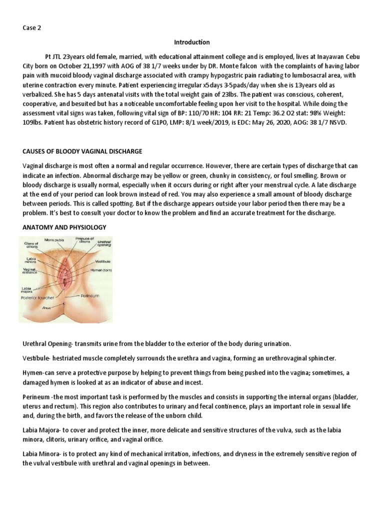 Case Study 2 | PDF | Vagina | Labia