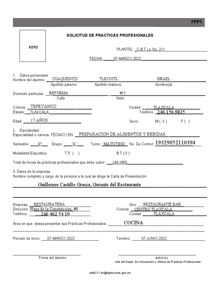 Formatos de Practicas Profesionales. | PDF